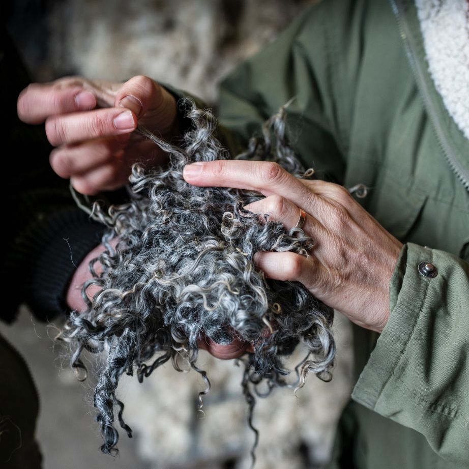 Wool Q&A | Fjällräven Australia
